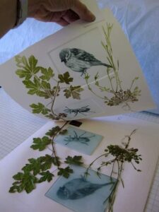 What is Monoprint? - Complete Beginner's Guide.